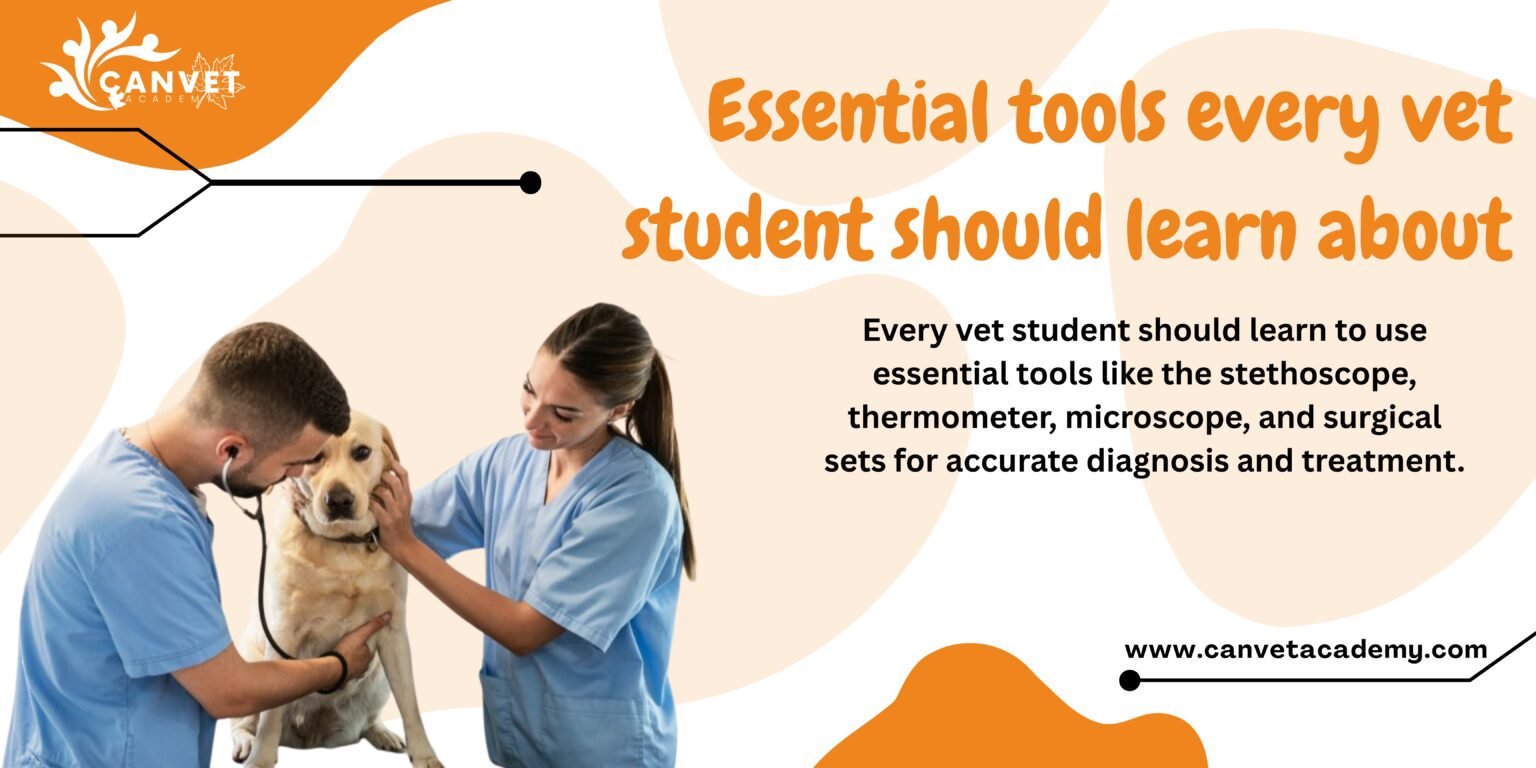 essential tools every vet student should learn about - canvet academy